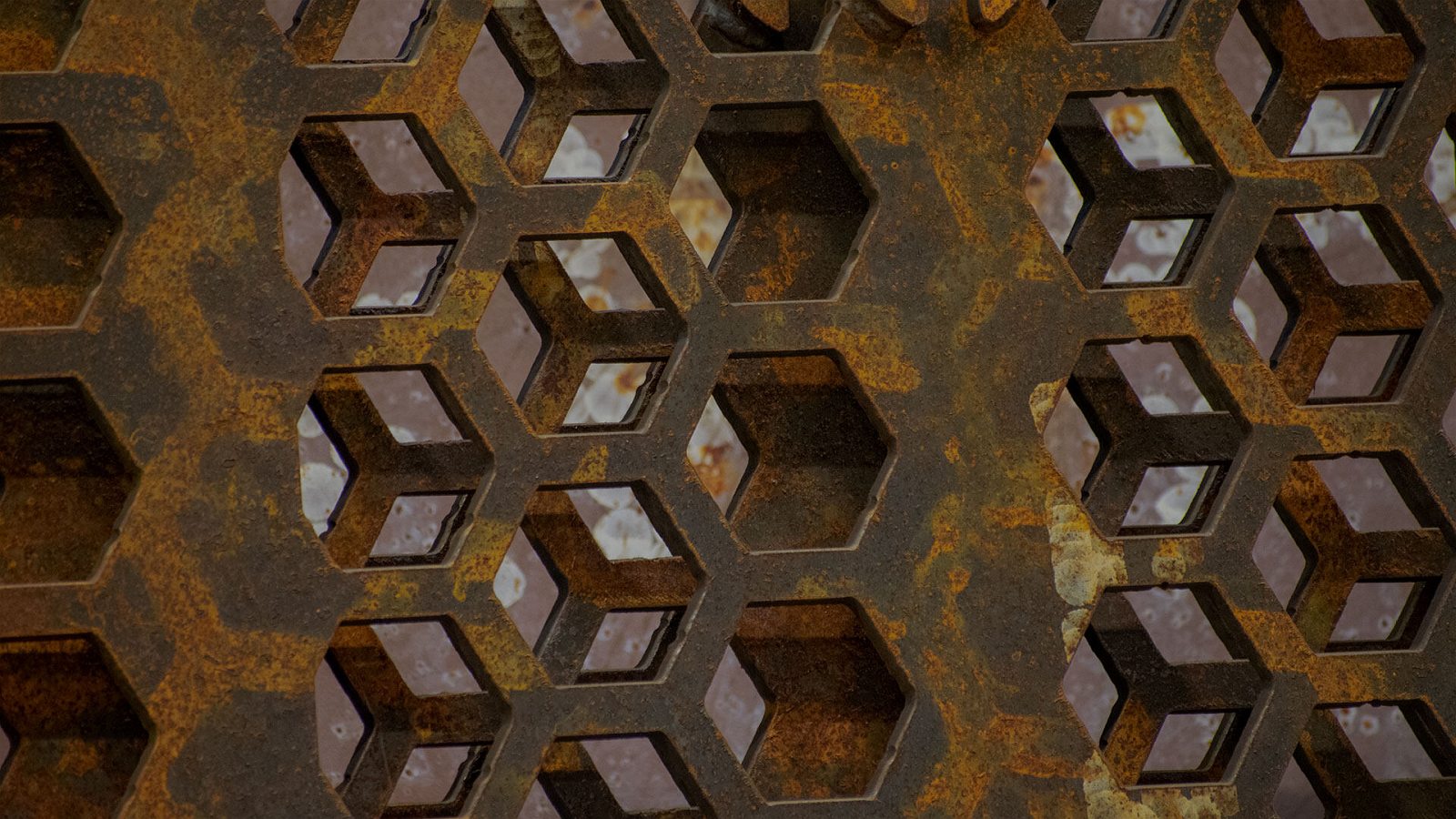 Perforert plate - Scandia Maskin